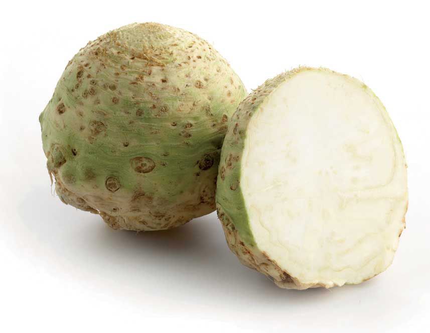 Céleri Rave - Semences Bio | Voltz Maraîchage