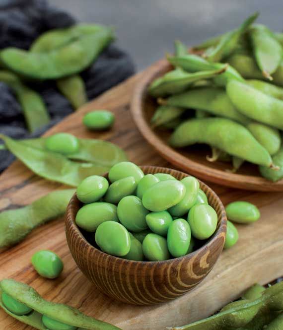 Edamame - Organic Seeds | Voltz Maraîchage