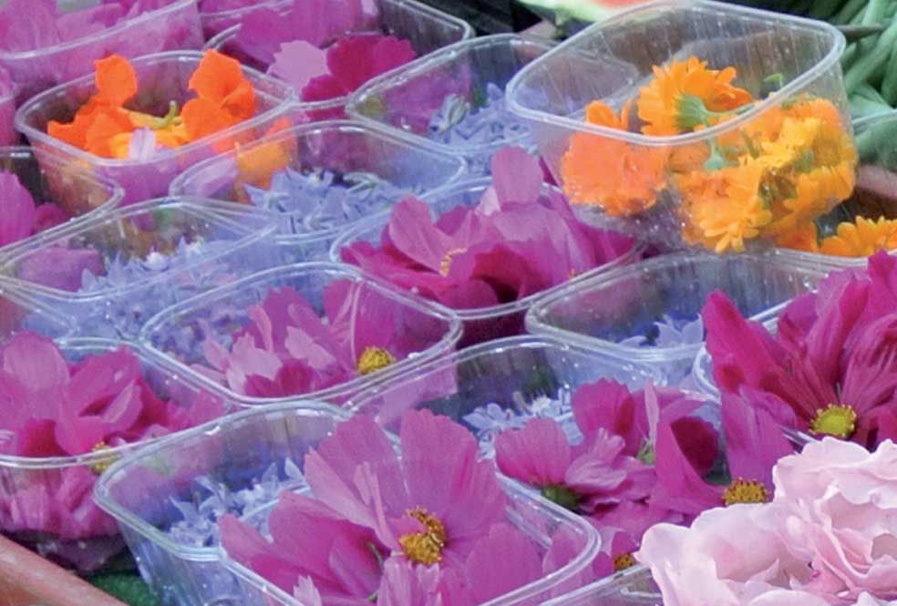 Fleurs Comestibles - Semences Conventionnelles | Voltz Maraîchage