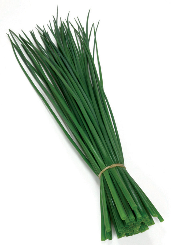 CHIVES DOLORES - CONVENTIONAL SEEDS | VOLTZ Maraîchage