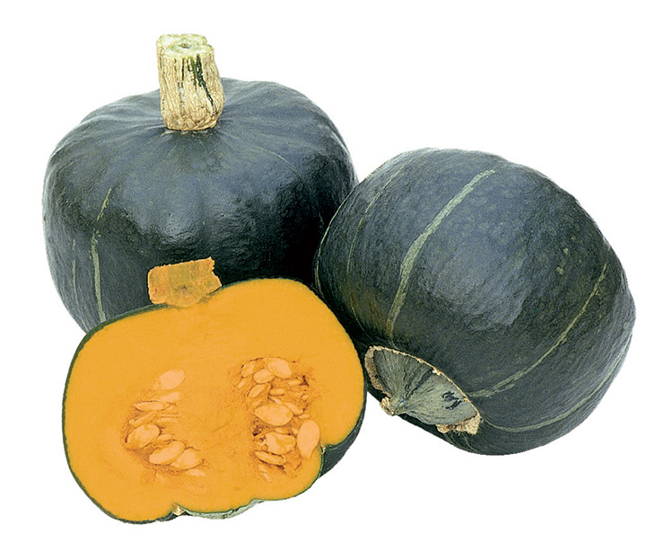 COURGE COMESTIBLE BUTTERCUP BURGESS - Semences BIO | VOLTZ Maraîchage