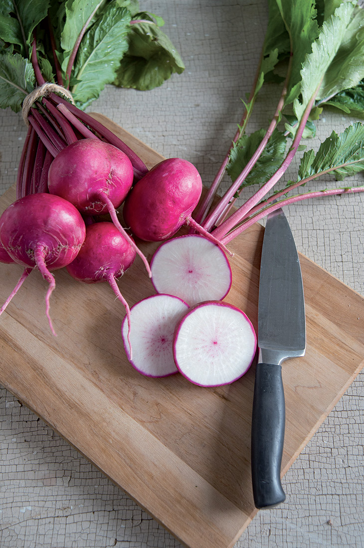 NAVET SCARLET QUEEN RED STEM F1 - Semences Conventionnelles | VOLTZ ...