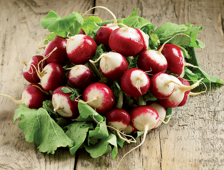 RADIS GAUDRY 2 - Semences BIO | VOLTZ Maraîchage