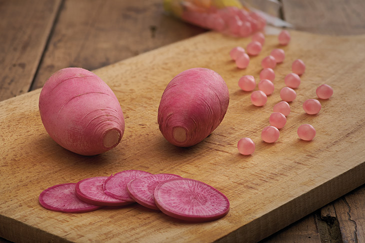 RADIS DELICANDY® (GV 54091) F1 - Semences Conventionnelles | VOLTZ ...