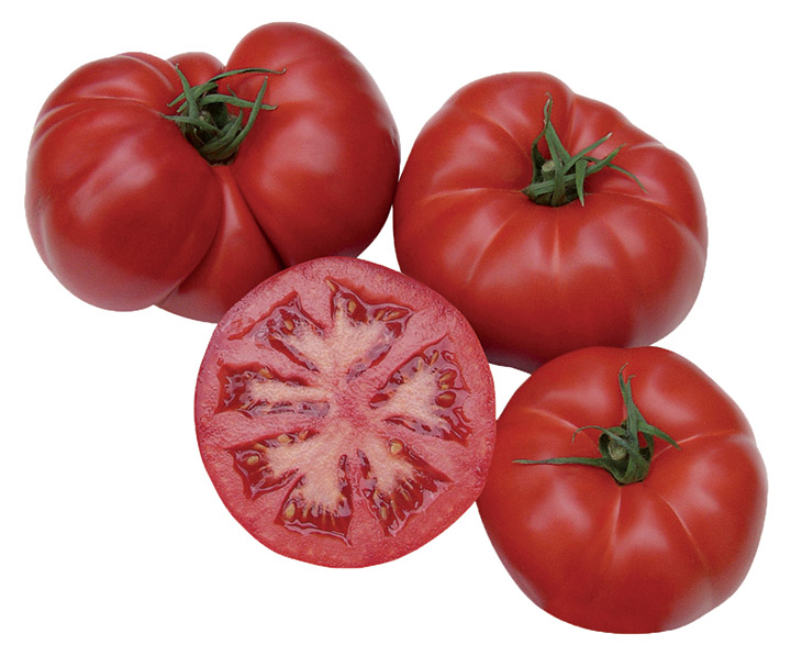 TOMATE COUNTRY TASTE F1 - Semences BIO | VOLTZ Maraîchage