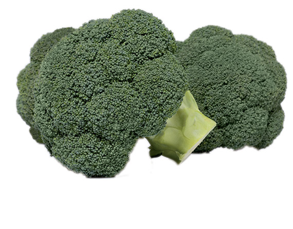 CHOU COVINA F1 - Semences BIO | VOLTZ Maraîchage