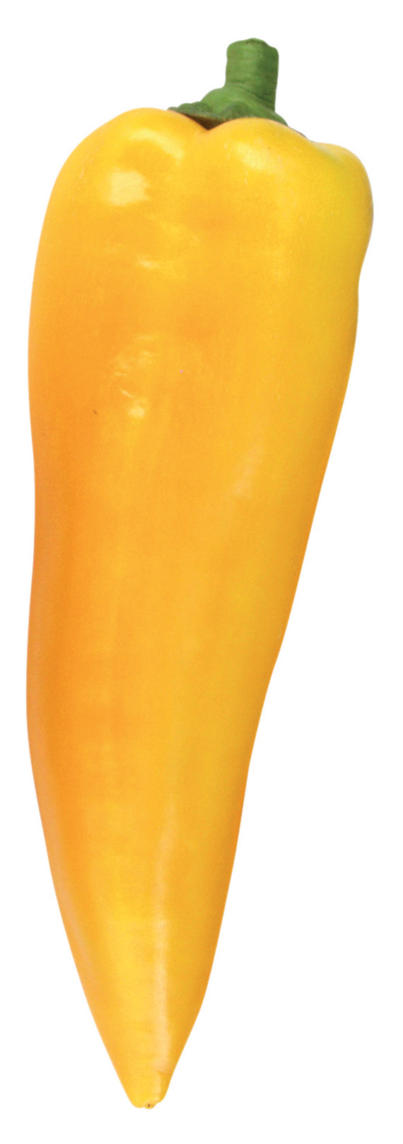 Poivron-Piment Poivron - Corne - Semences Conventionnelles | Voltz ...