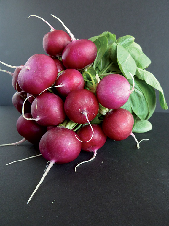 Radis - Semences Conventionnelles | Voltz Maraîchage