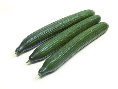 Concombre Long Hollandais - Serre/Sous-Abri - Semences Bio | Voltz ...