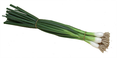 Spring Onion Bunching - Conventional Seeds | Voltz Maraîchage